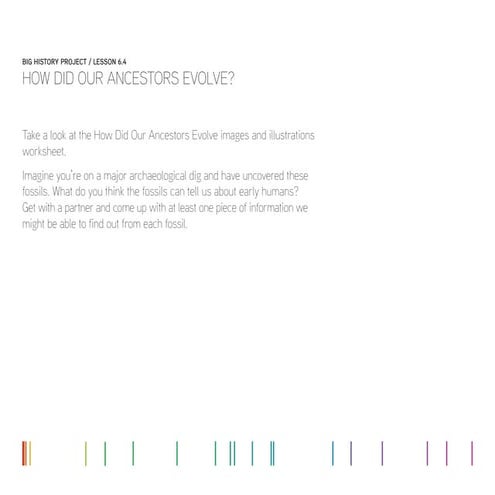 How Did Our Ancestors Evolve? | PDF