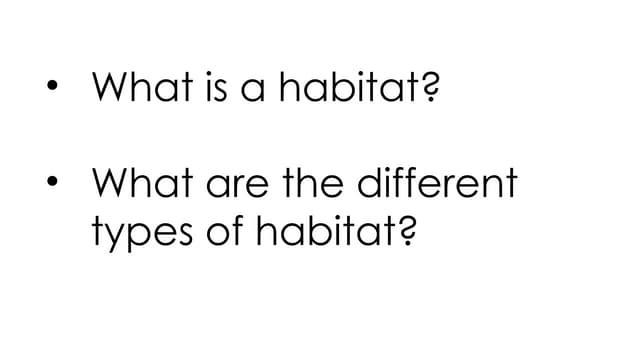 BODY STRUCTURES THAT HELP ANIMALS ADAPT AND SURVIVE .pptx