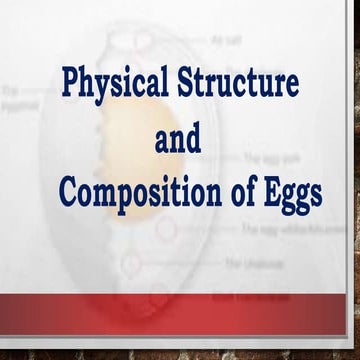 Lesson 6 Physical Structure and Composition of Egg | PPTX