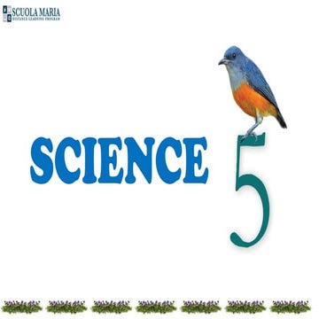 Lesson 7. Plants: Types of Reproduction.pptx