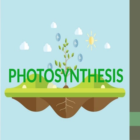 Lesson 7.pptx The Process of Photosynthesis | PPTX