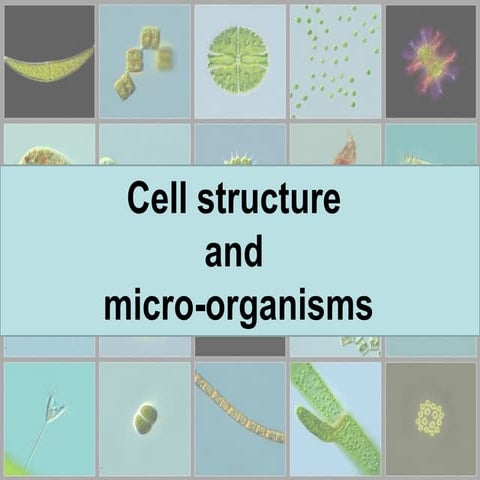 Cell structure and micro-organisms | PPT