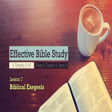 Biblical Exegesis (Effective Bible Study) | PDF