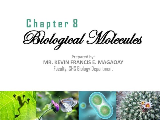 Biomolecules | PPT