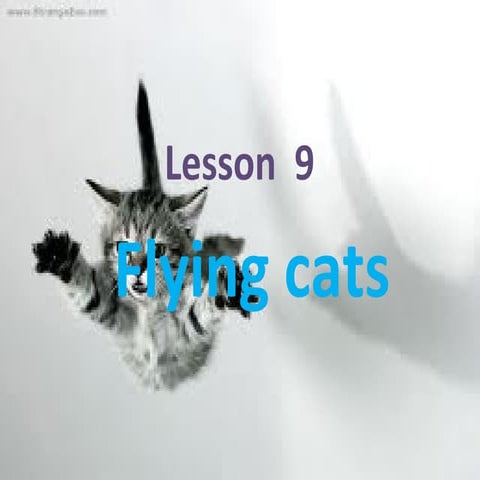 Lesson 9 flying cats | PPT