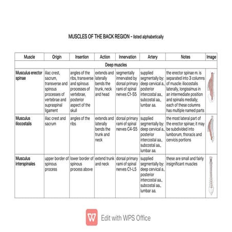 Lesson #9_Muscles of the back and thorax.pdf