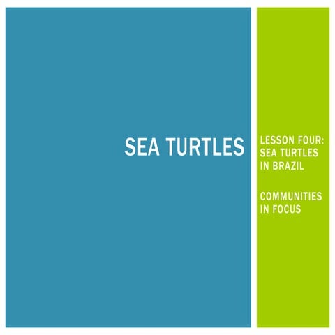 Lesson Four: Sea Turtles in Brazil | PDF