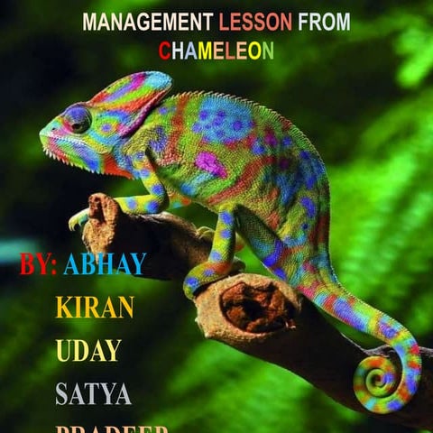 Lesson from chameleon | PPTX | Reptiles | Pets