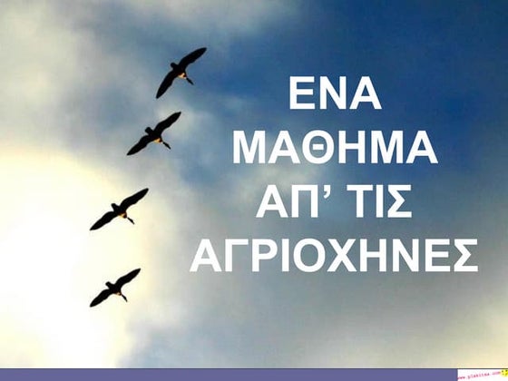 μοριακος ελεγχος θρομβοφιλια | DOC