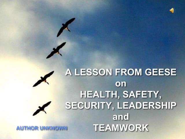 The power of geese | PPTX