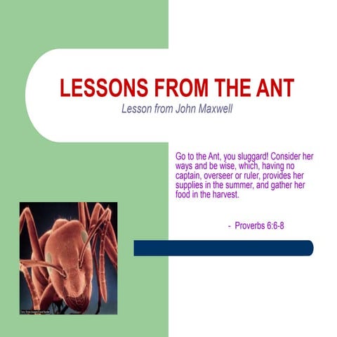 LESSON_FROM_THE_ANT.ppt