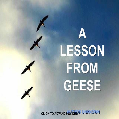 Lesson From Geese! Understanding Teamwork | PPT
