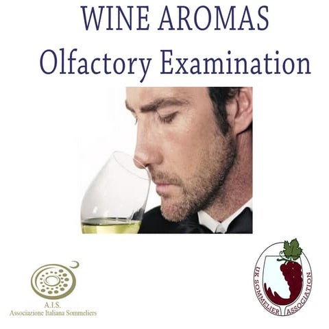 Lesson n6 tasting_tecnique_english | PDF