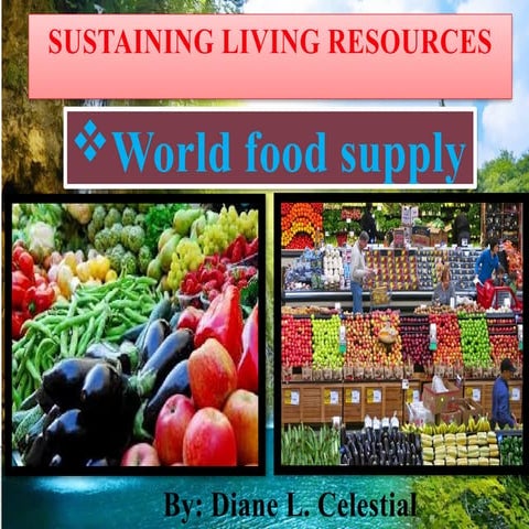 LlllllESSON NO. 10 WORLD FOOD SUPPLY.pptx | Free Download