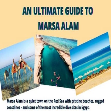 Good Manners Guide While Travelling | PDF