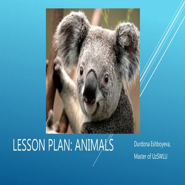 Lesson plan animals | PPTX
