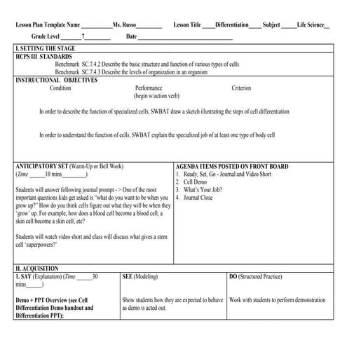 Lesson plan differentiation | DOCX