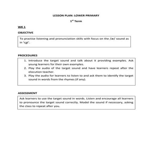 Lesson plan 1st term | PDF
