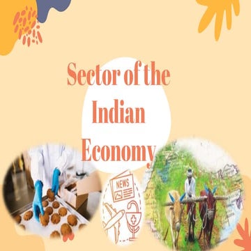 sector of indian economy.pptx