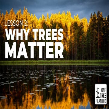 One Tree Planted: Lesson plan 2 slides | PDF