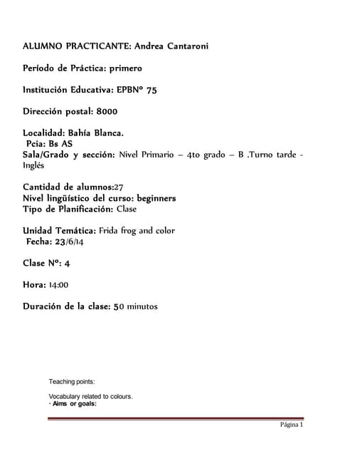 Primary Level - Lesson Plan 4 | DOCX | Primary Education | Education