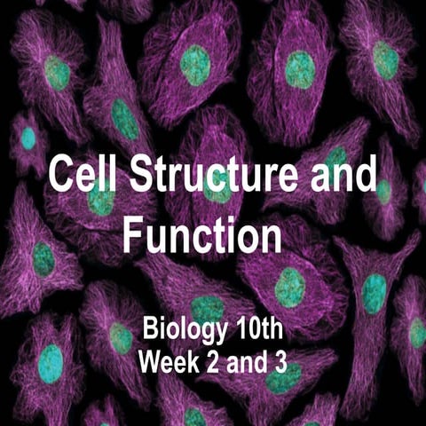 Comprehensive Study of Cell Structure, Types, and Functions in Biology ...