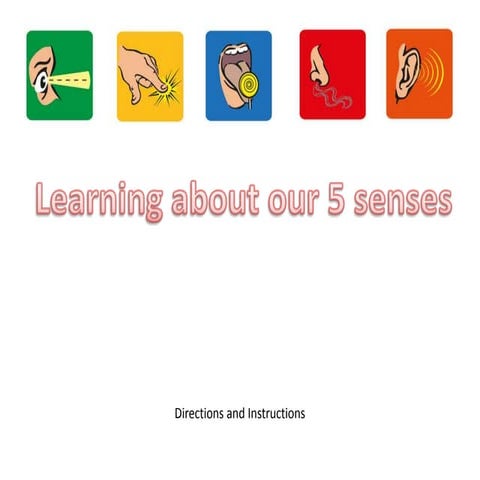 My five senses | PPT