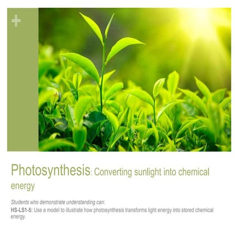 Photosynthesis-Light-Dependent-Reactions-LITE (1).ppsx