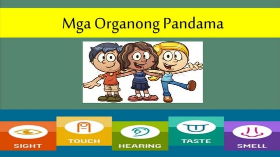 Mga Parte Sang Mata | PPTX