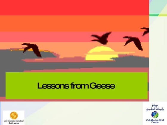 Leadership Lessons From Geese | PPT | Birdwatching | Hobbies & Interests