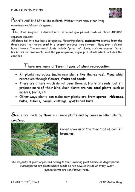 POLLINATION :Biology Investigatory project | DOCX