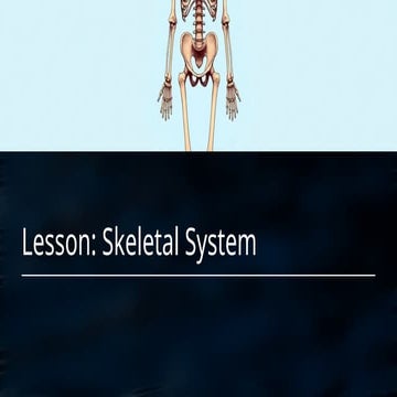 Lesson_ Skeletal System (1).pptx Muscles attach to bones via tendons ...
