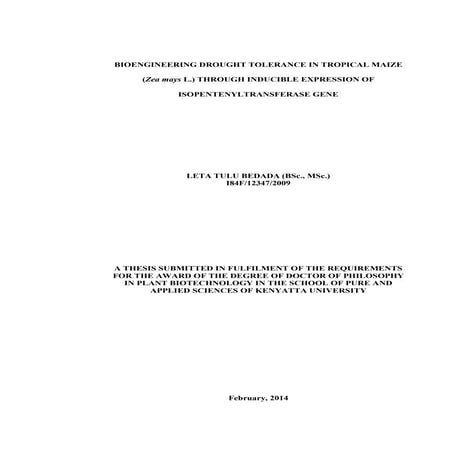 Leta tulu bedadas ph.d thesis | PDF