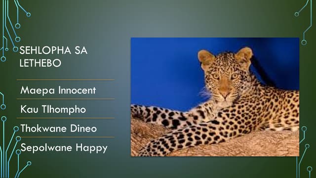 AFT220_PEGO_YA_BOFEMENISI_by_DIKGADI_.pptx