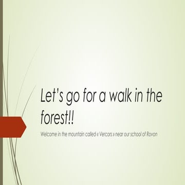 Let’s go for a walk in the forest | ODP