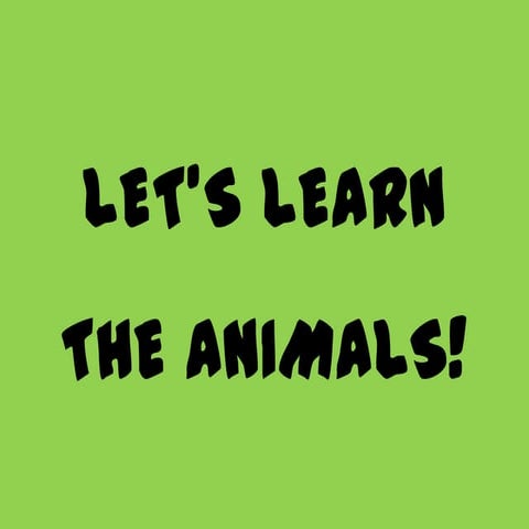 Let’s learn the animals! | PPTX