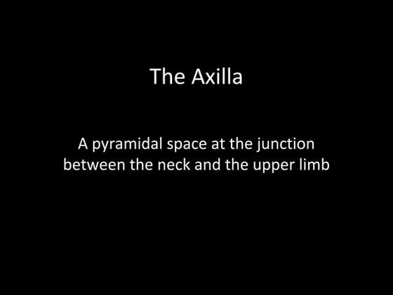 Muscles of thorax | PPTX