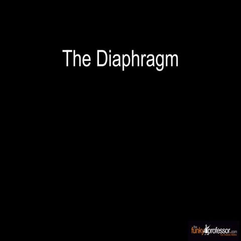 Anatomy of The Diaphragm | PPTX