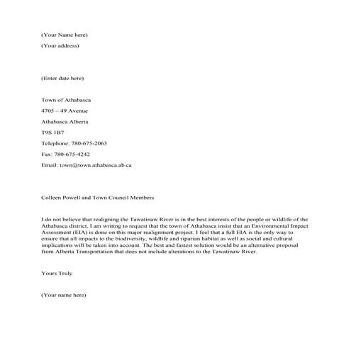 Letter Of Citizen Concern To Town Council | DOC