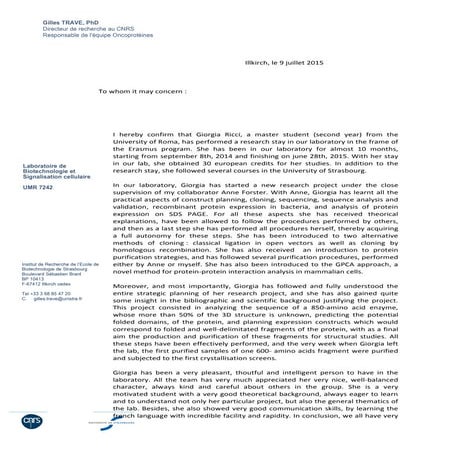 Reference Letter | PDF