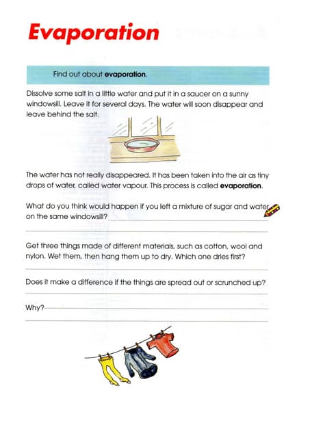 worksheet procedure | DOCX | Desserts and Baking | Food & Drink