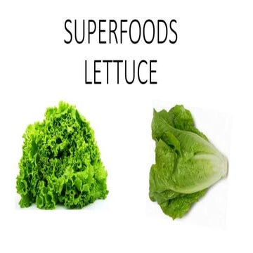 Lettuce | PPTX