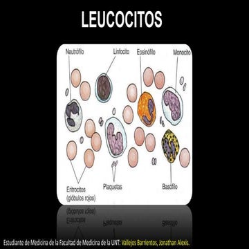 Leucocitos.morfología y fisiología | PPTX