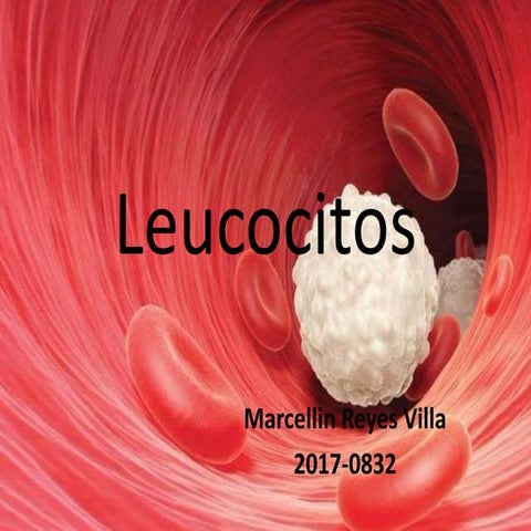 Leucocitos | PPTX