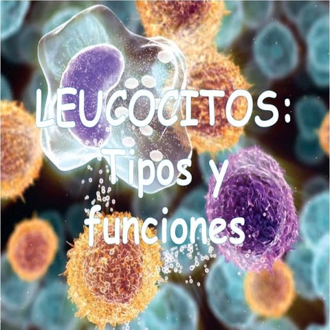 leucocitos , globulos blancos y celulas. | PPTX