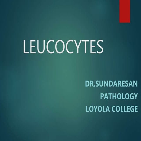 LEUCOCYTES | PPT