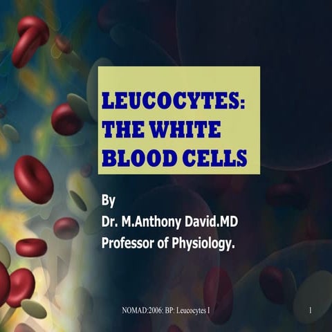 Leucocytes Physiology by Dr.M.Anthony David MD | PPT | Blood Disorders ...