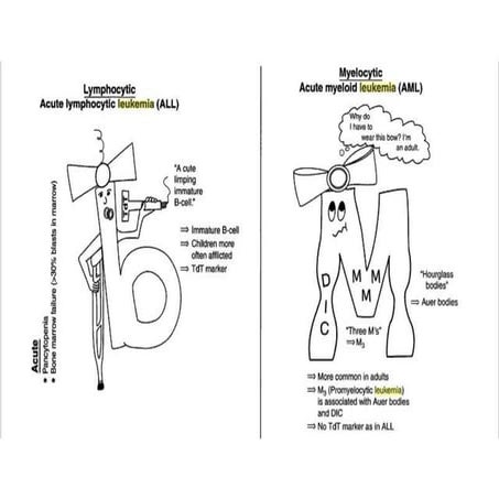 Leukemia visual mnemonics | PDF