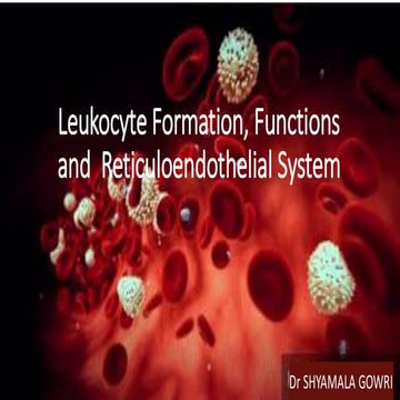 Leukocyte Formation, Functions, and the Reticuloendothelial system (1).pdf