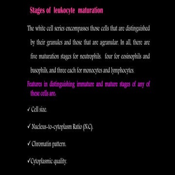 normal leukocyte maturation SERIES .pdf
